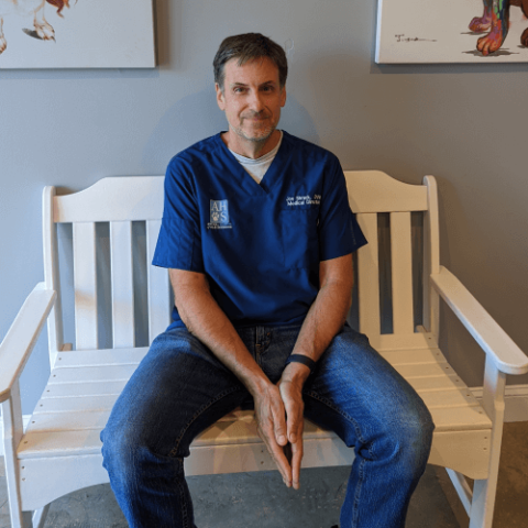 Veterinarian In Old Saybrook, CT | Animal Hospital Of Old